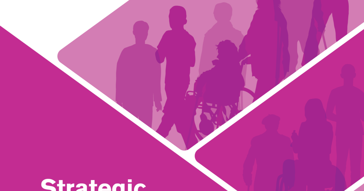 Launch of the NDA Strategic Plan 2025-2027 - Centre for Excellence in ...